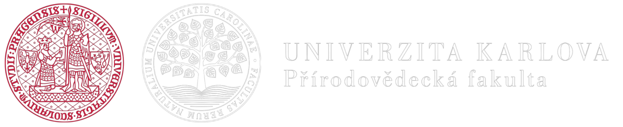 Studium na GPJP - Gymnázium prof. Jana Patočky